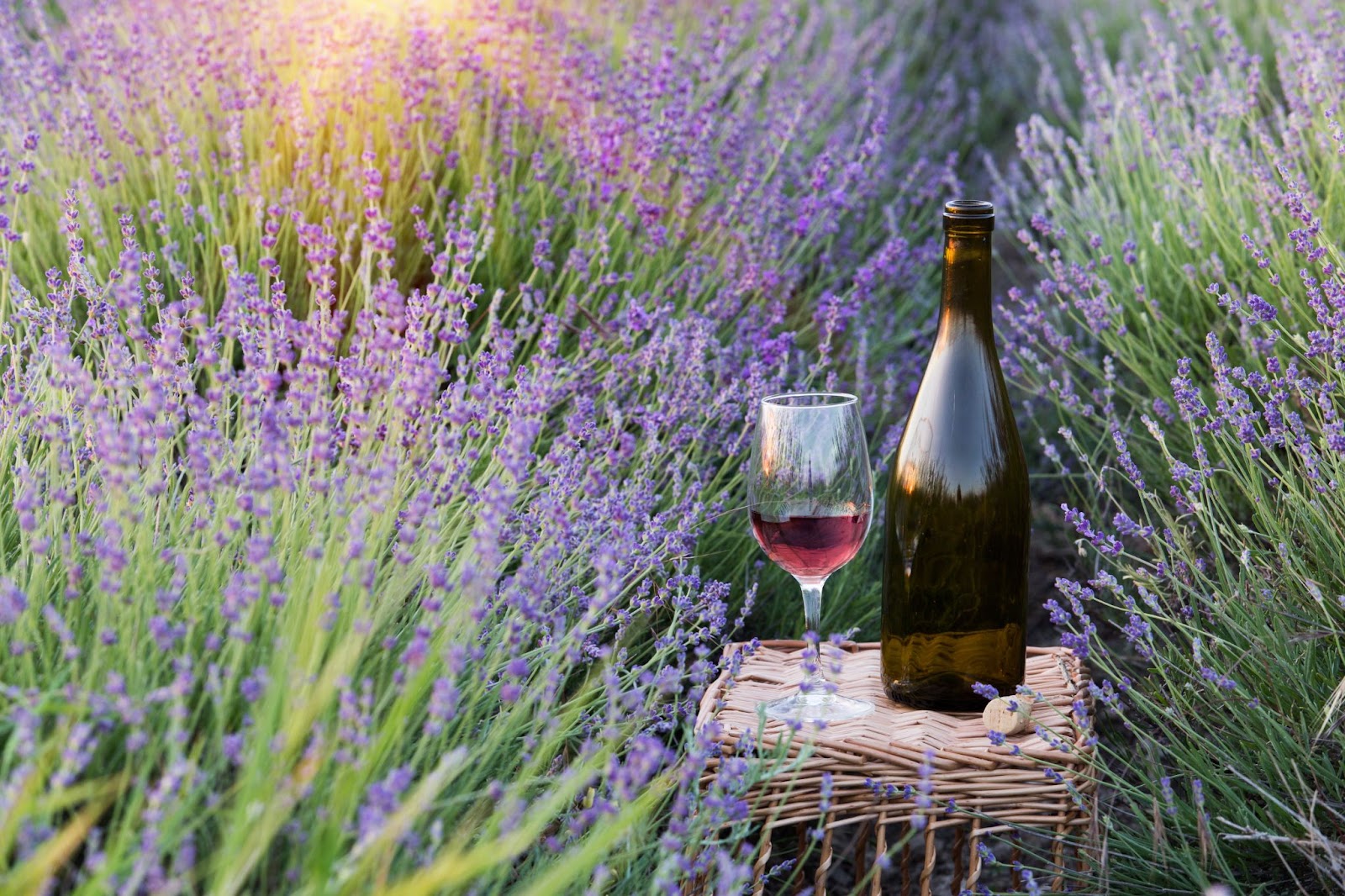 11 All Inclusive Winery Wedding Packages In North California ...